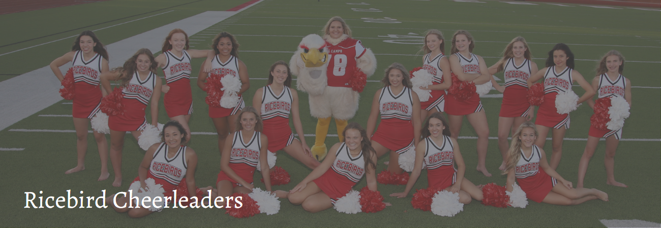 Cheerleading | El Campo ISD