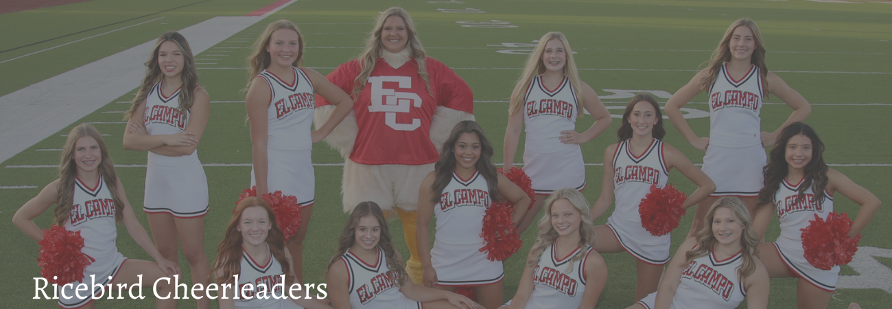 Cheerleading | El Campo ISD