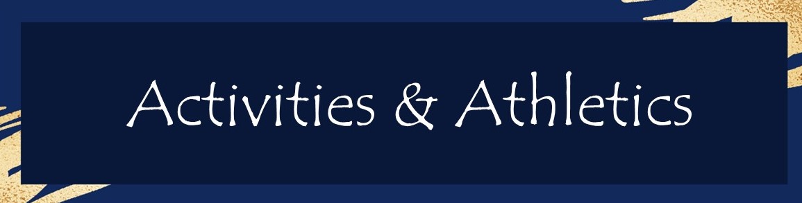 Activities / Athletics | Tea Area High School